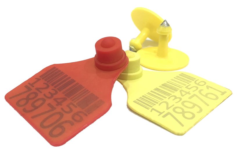 Ear Tags for Ovine – NATIONAL MEDITEK